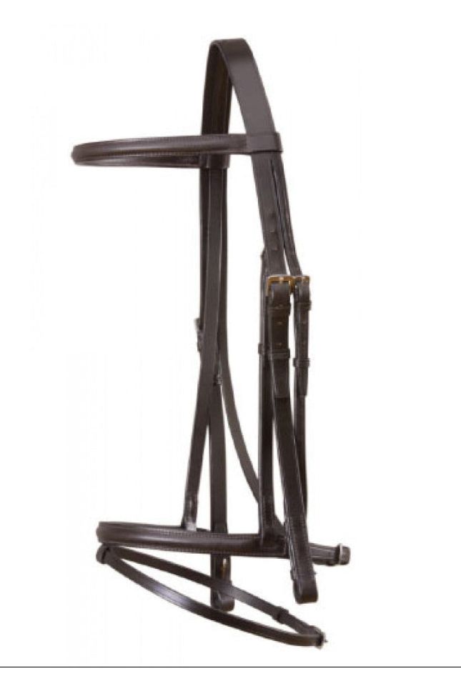 Jeffries Falcon Flash Noseband Bridle – Black – Canterbury Saddlery