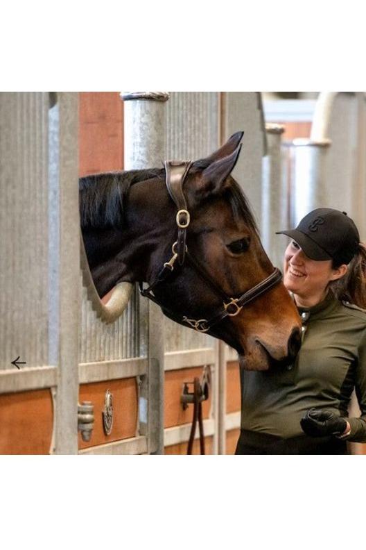 PSOS Anatomical Leather Halter Halters & Leads